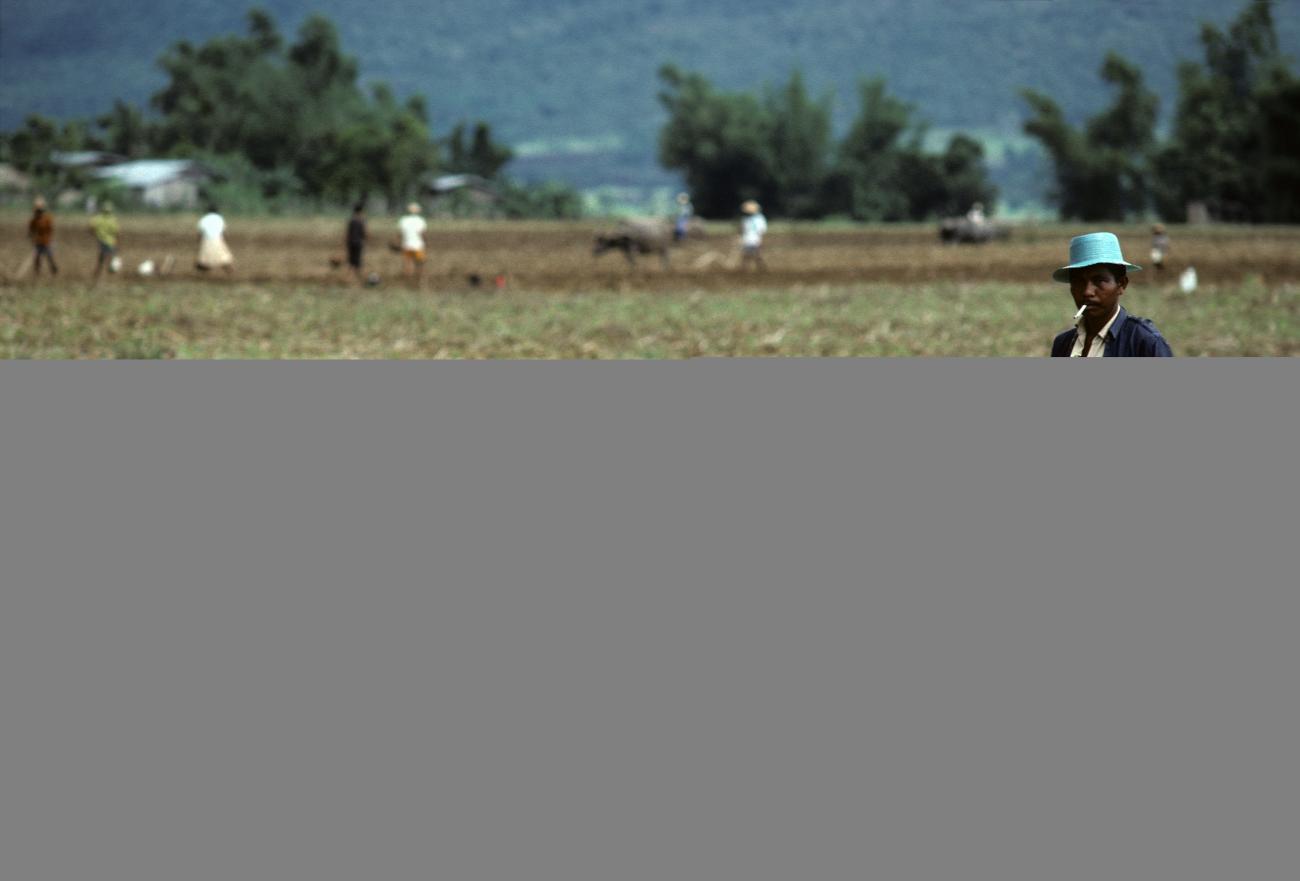 Redistribution that triggers violence