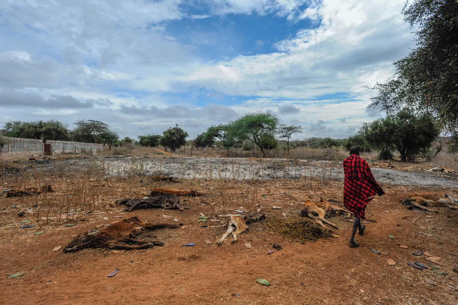 How Kenya is affected by climate injustice